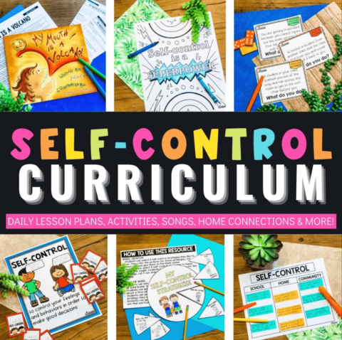 Why I Will ALWAYS Do Morning Meetings in My Classroom - Lucky Little ...