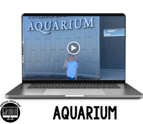 17 Amazing Virtual Field Trip Ideas - Lucky Little Learners