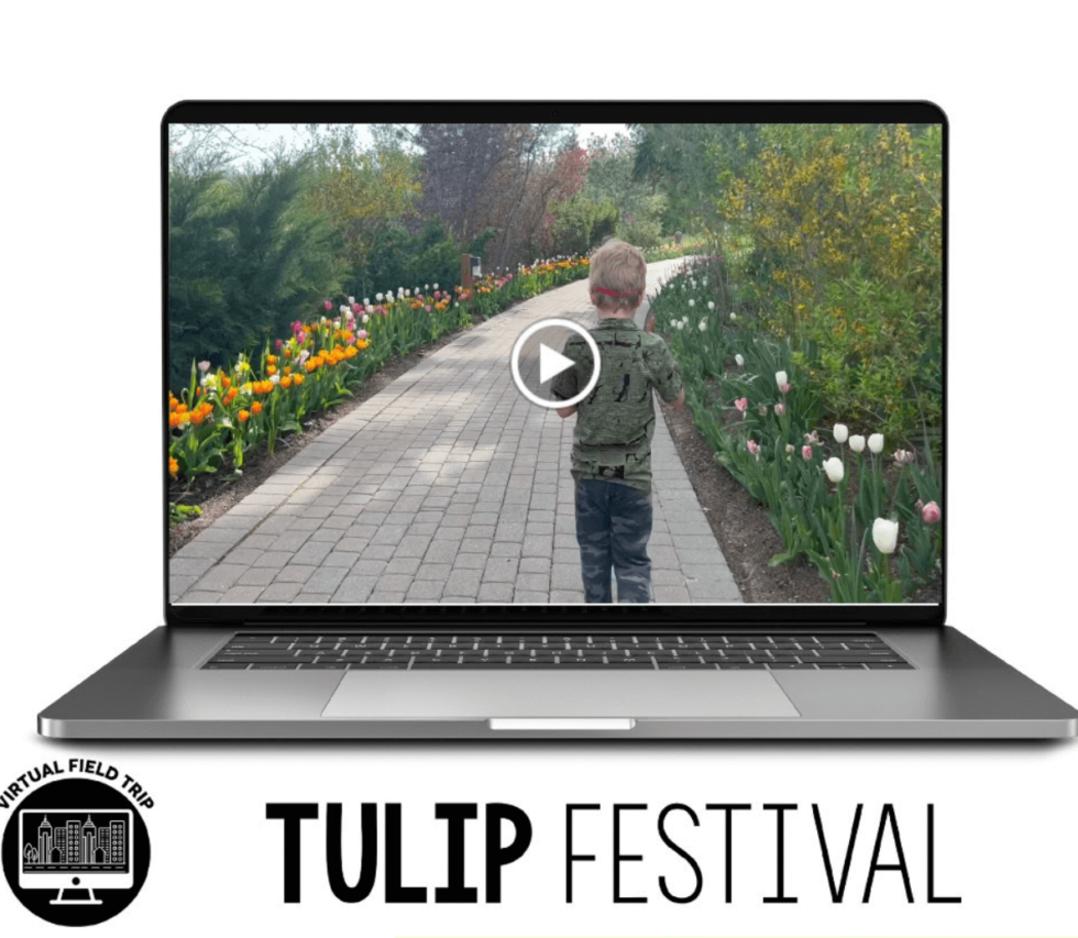 17 Amazing Virtual Field Trip Ideas - Lucky Little Learners