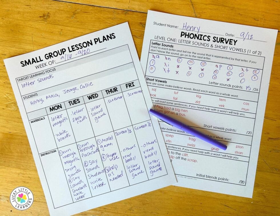 How to Identify Gaps in Phonics Using a Phonics Screener - Lucky Little Learners