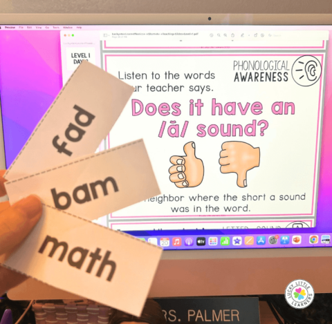Phoneme-Grapheme Mapping Guide - Lucky Little Learners
