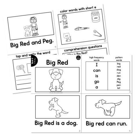 11 Ways to Use Lucky Little Decodable Readers in Kindergarten - Lucky ...