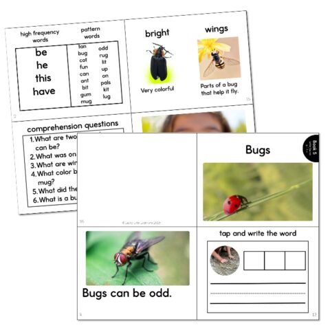 11 Ways to Use Lucky Little Decodable Readers in Kindergarten - Lucky ...