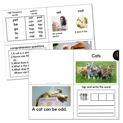 11 Ways to Use Lucky Little Decodable Readers in Kindergarten - Lucky ...