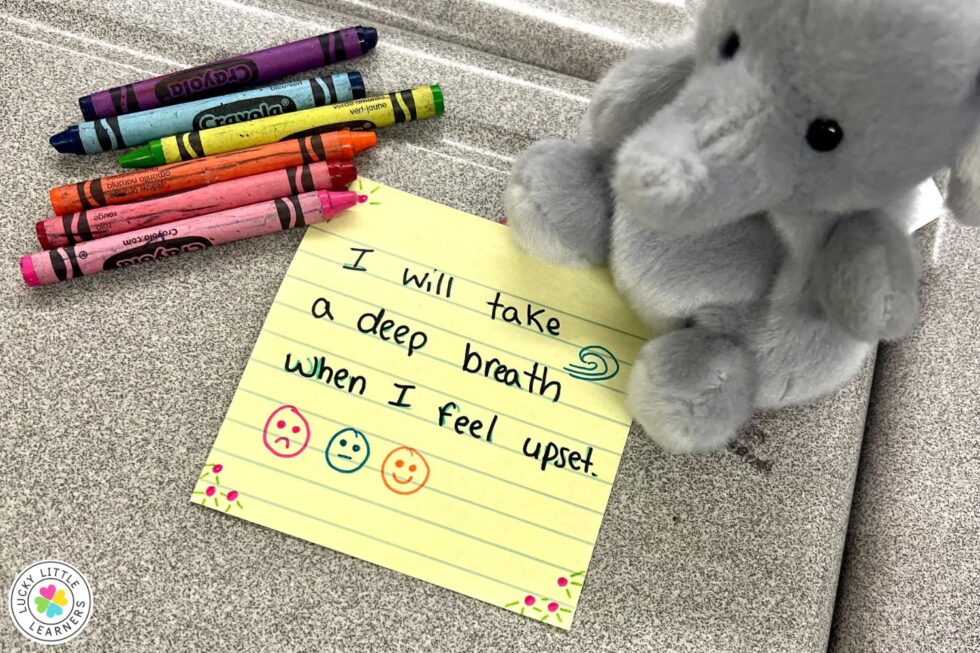 Student Self-Regulation Strategies - Lucky Little Learners