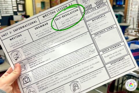 Student Self-Regulation Strategies - Lucky Little Learners